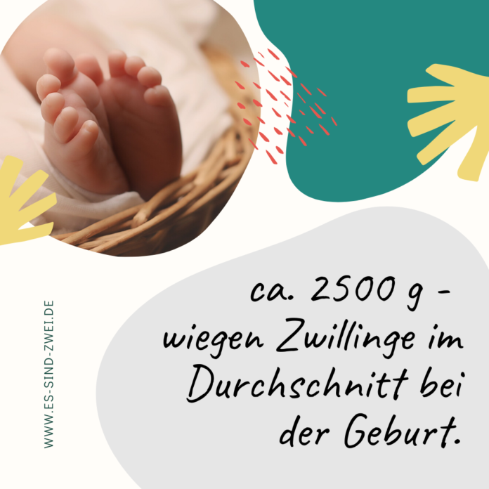 Zwillingswissen: Beziehung der Zwillinge zueinander - Es sind zwei DAS ...